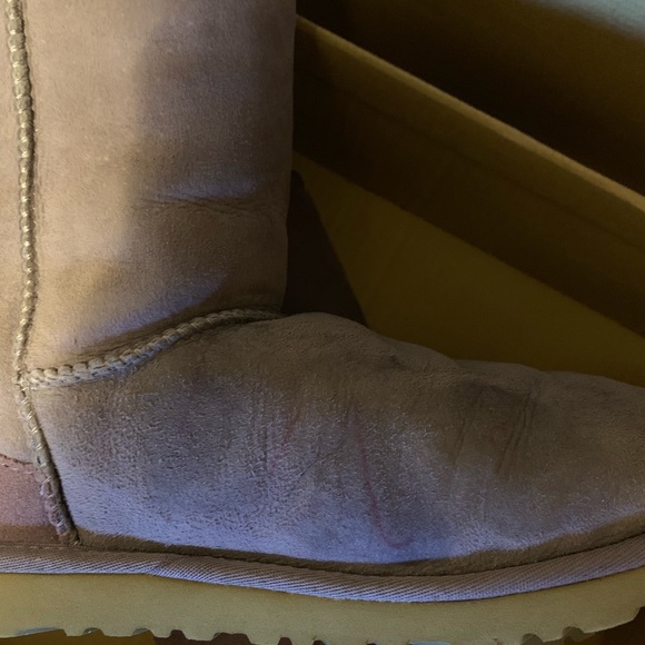 UGG | Shoes | Light Purple Short Uggs | Poshmark